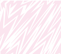 Collections - Lunchly